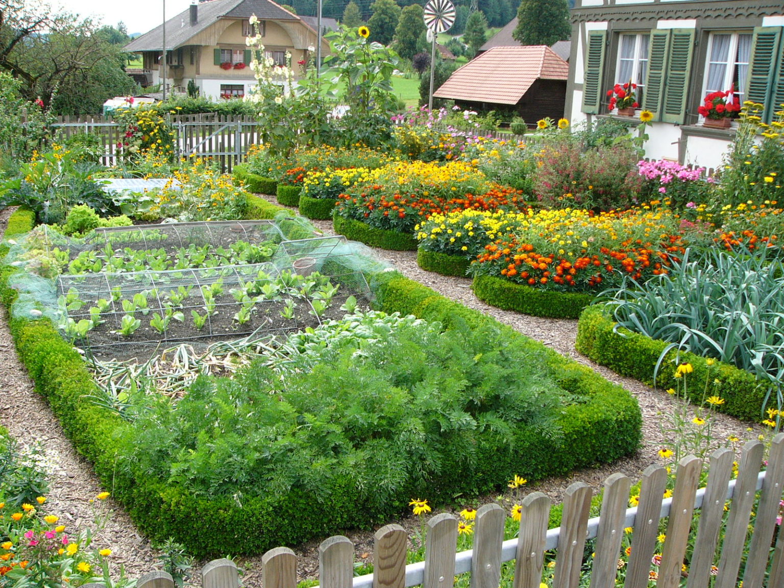„Ehrenamtlicher Berater für insektenfreundliche Gärten“ – Nachrichten ...